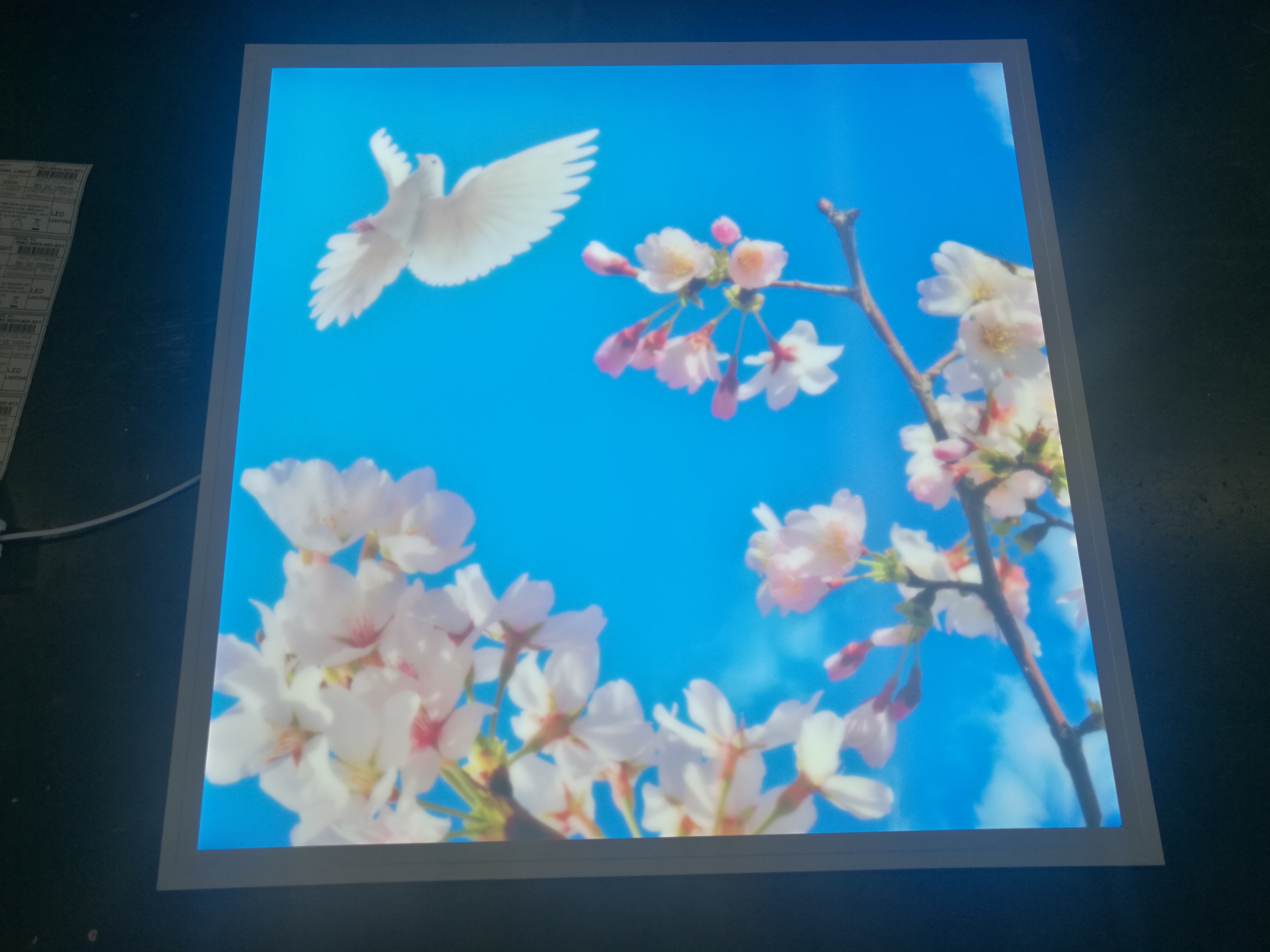 LED Skylights Virtual Sky Acoustic Ceiling Tiles 600x600 40W LED panel ...