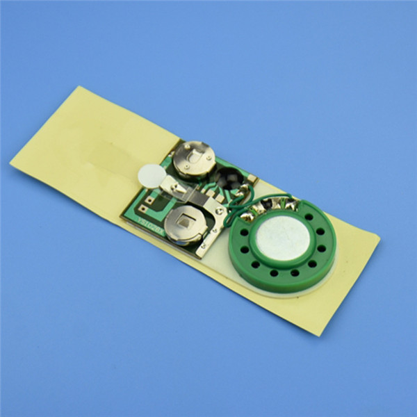 Happy birthday greeting card sound chip / programmable sound chip from ...
