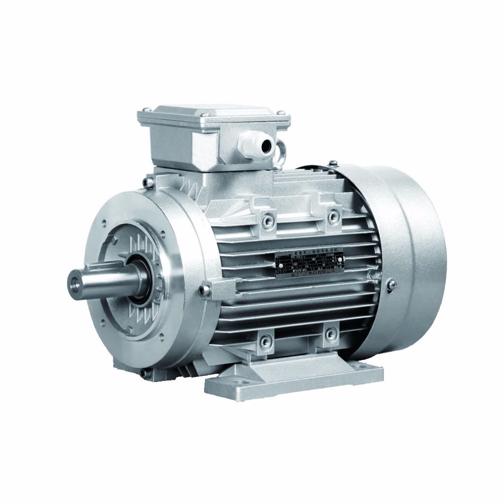 IM B5 IMB35 IMB34 Flange Mounted Induction Motor from China ...