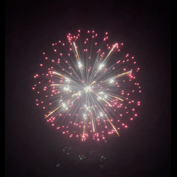 Fireworks Firecrackers Display Shell Salute Firework Shells Fire ...