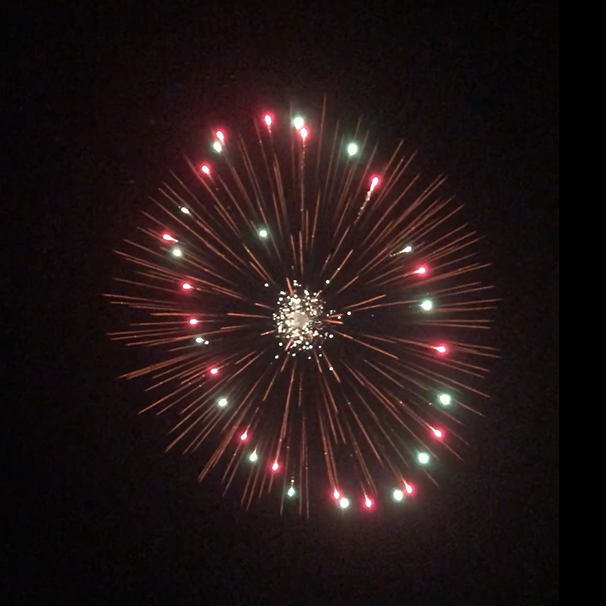 Fireworks Firecrackers Display Shell Salute Firework Shells Fire ...