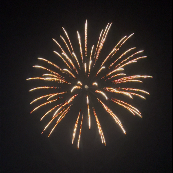 Fireworks Firecrackers Display Shell Salute Firework Shells Fire ...