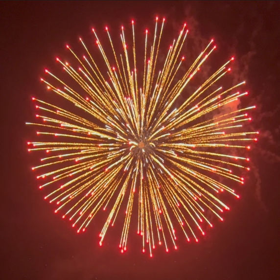 Fireworks Firecrackers Display Shell Salute Firework Shells Fire ...